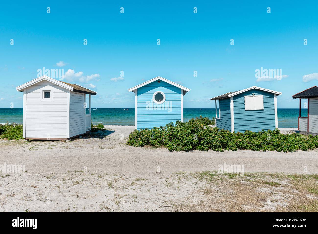 Colourful, windswept wooden bathing huts in the sand dunes on the beach ...