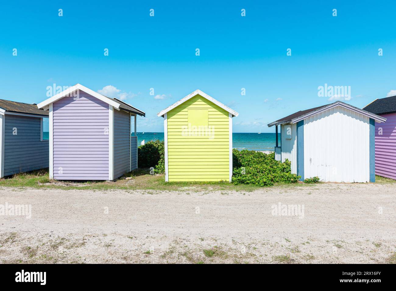Colourful, windswept wooden bathing huts in the sand dunes on the beach ...