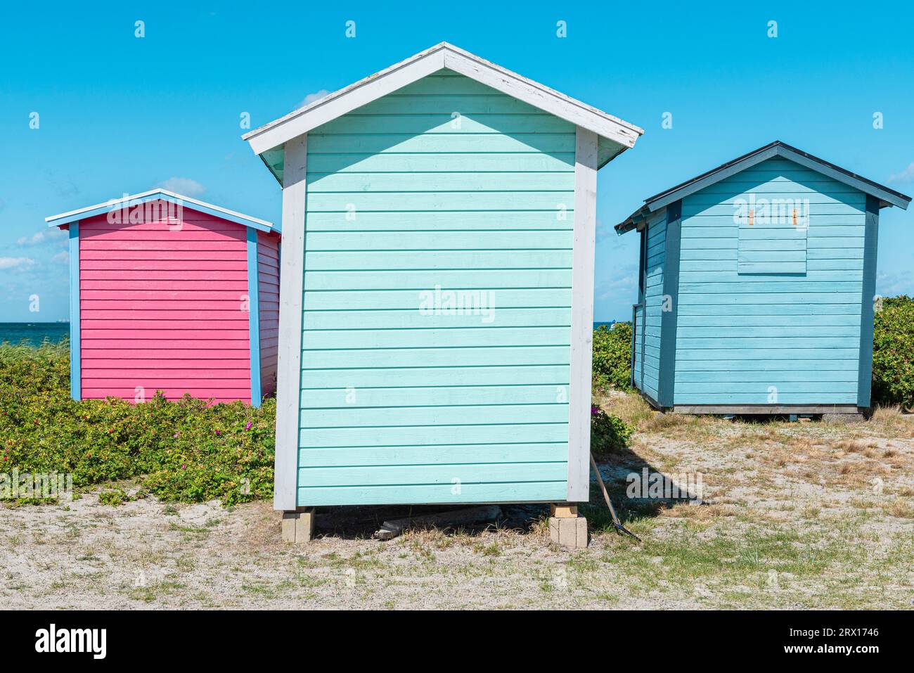 Colourful, windswept wooden bathing huts in the sand dunes on the beach ...