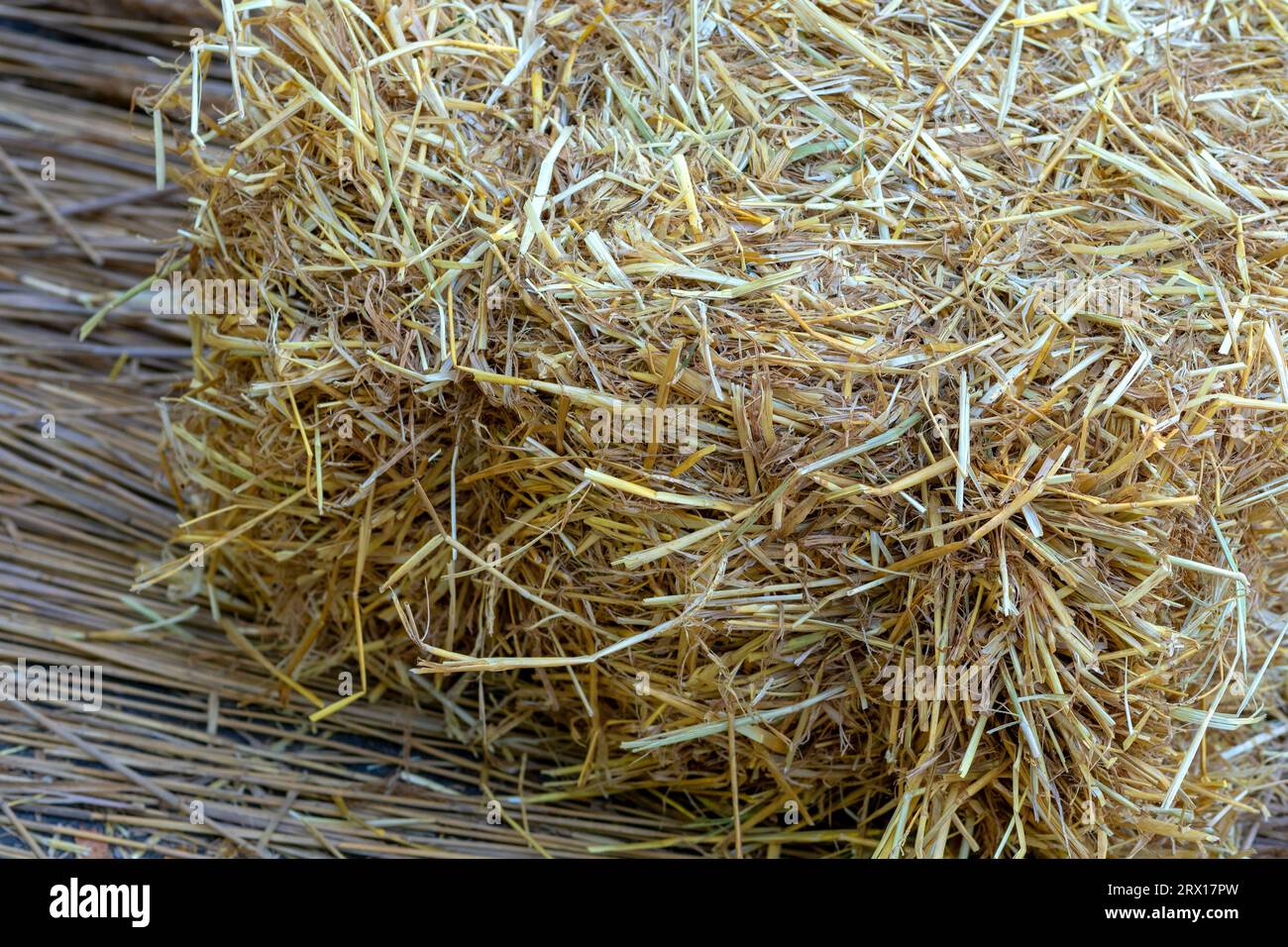 Stacks of straw. Alternative fuel source. Concept Alternative fuel ...