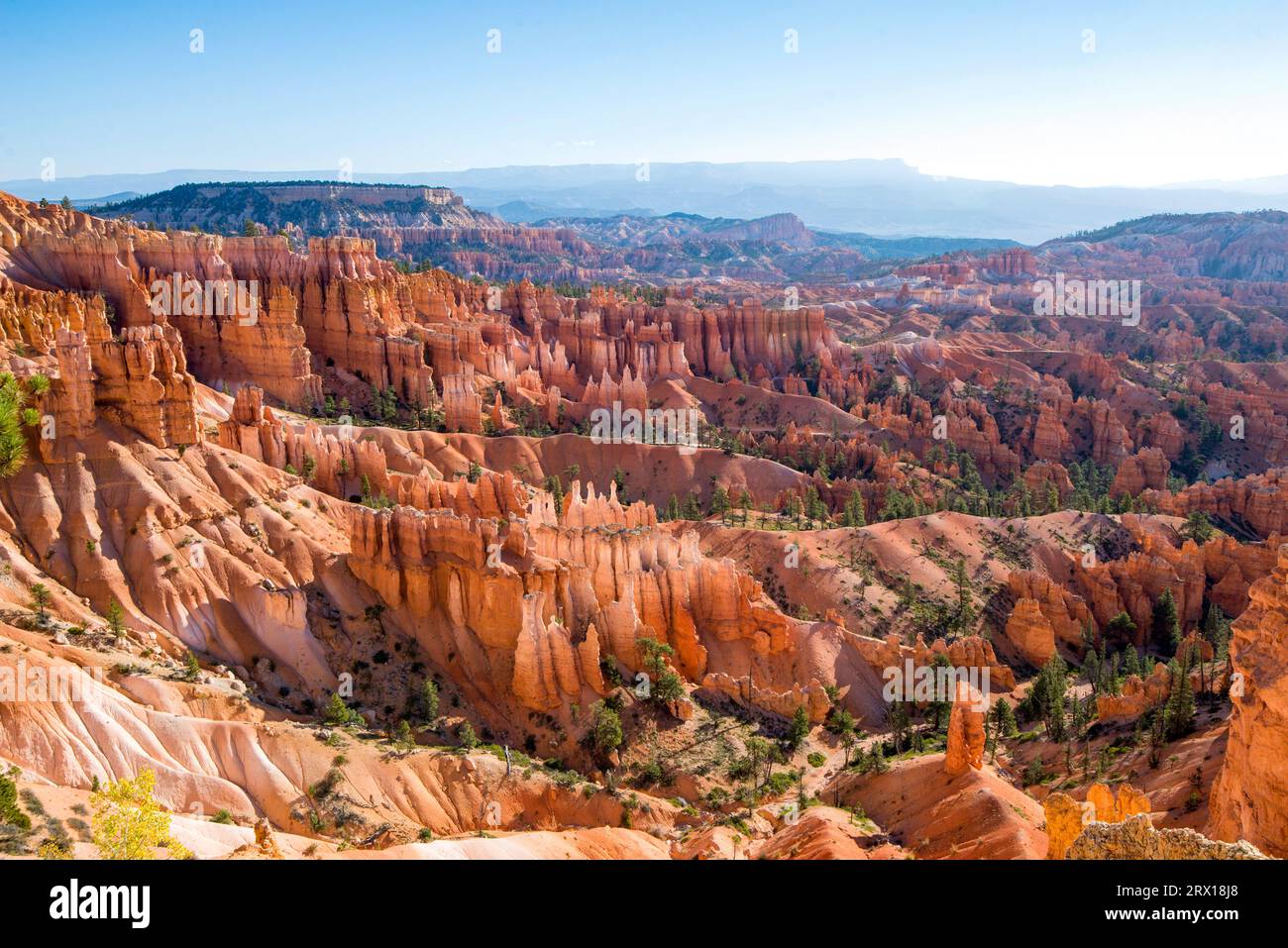 Bryce arizona hi-res stock photography and images - Alamy
