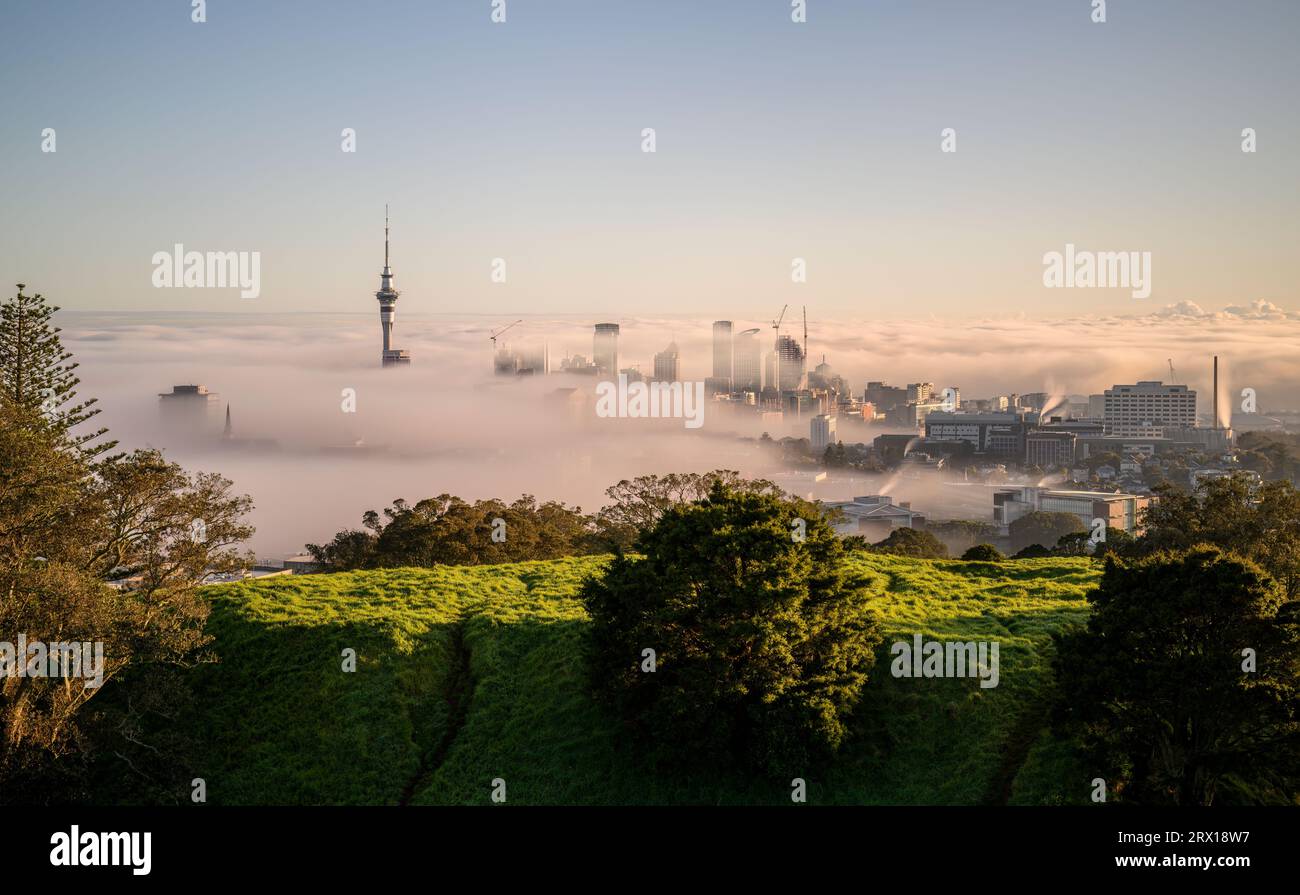 Auckland skyline and Skytower above a sea of fog. View from Mt Eden ...