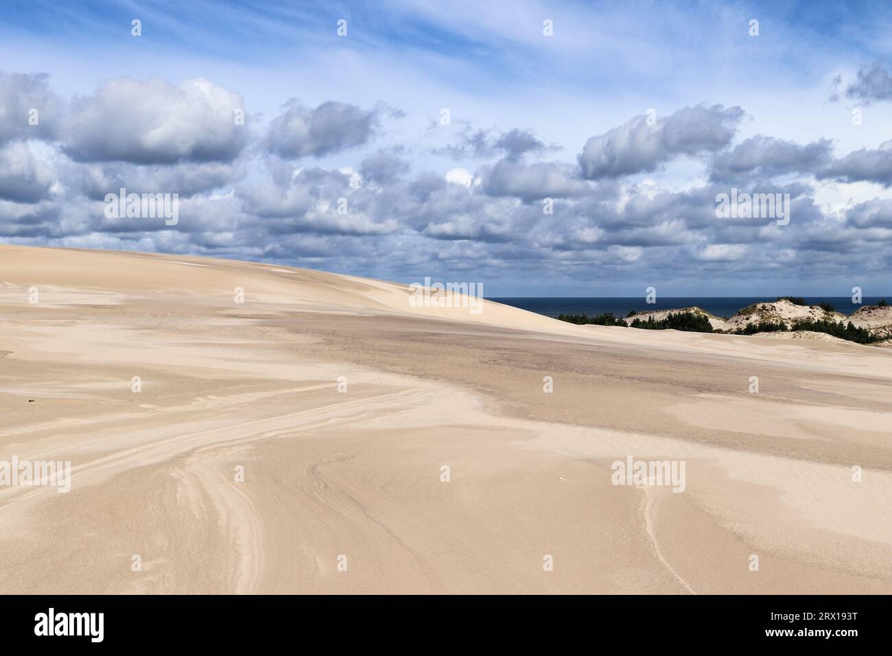 Lacka gora dune near Leba village in the Slovincian National Park ...