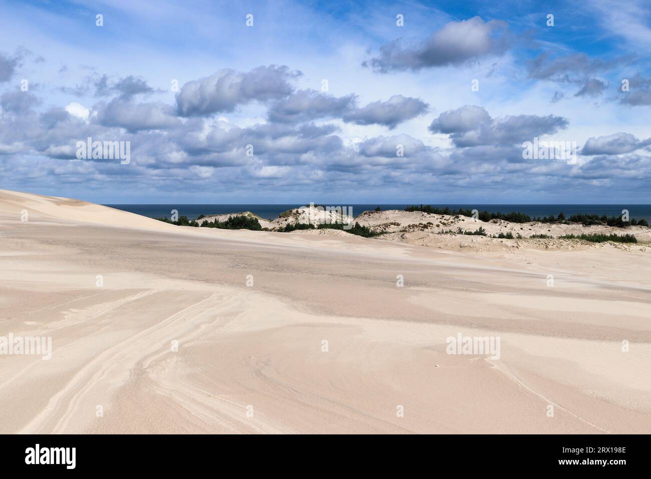 Lacka gora dune near Leba village in the Slovincian National Park ...