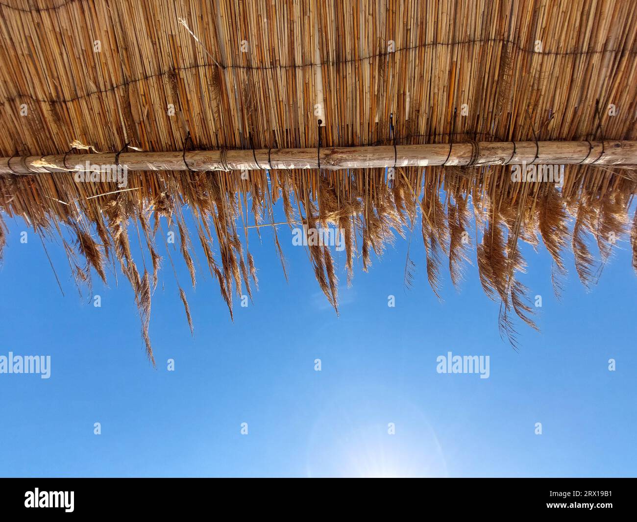 Straw hay roof against blue sky background Stock Photo - Alamy
