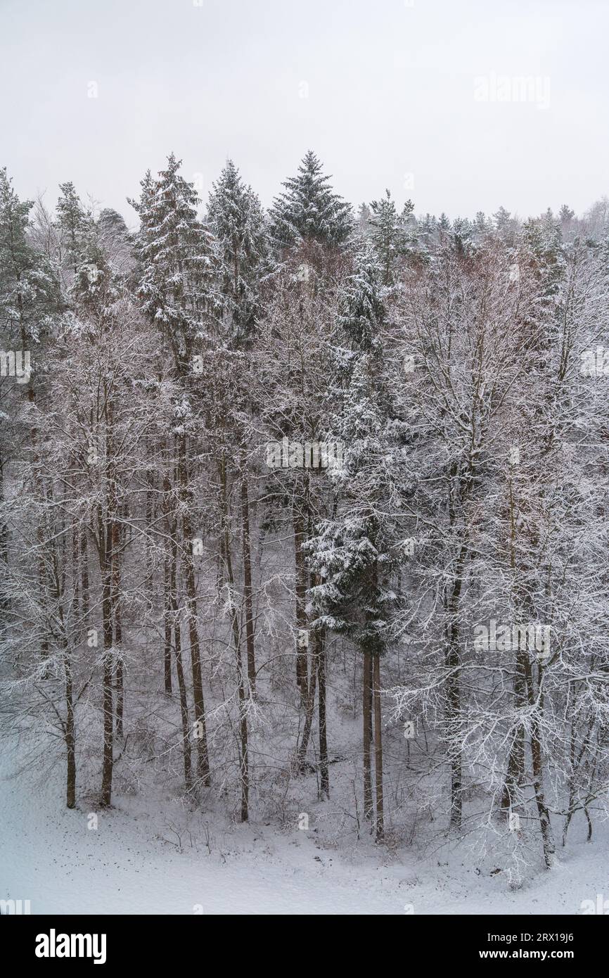 The Schönbuch Nature Park in the Stuttgart Region, During Winter Stock ...