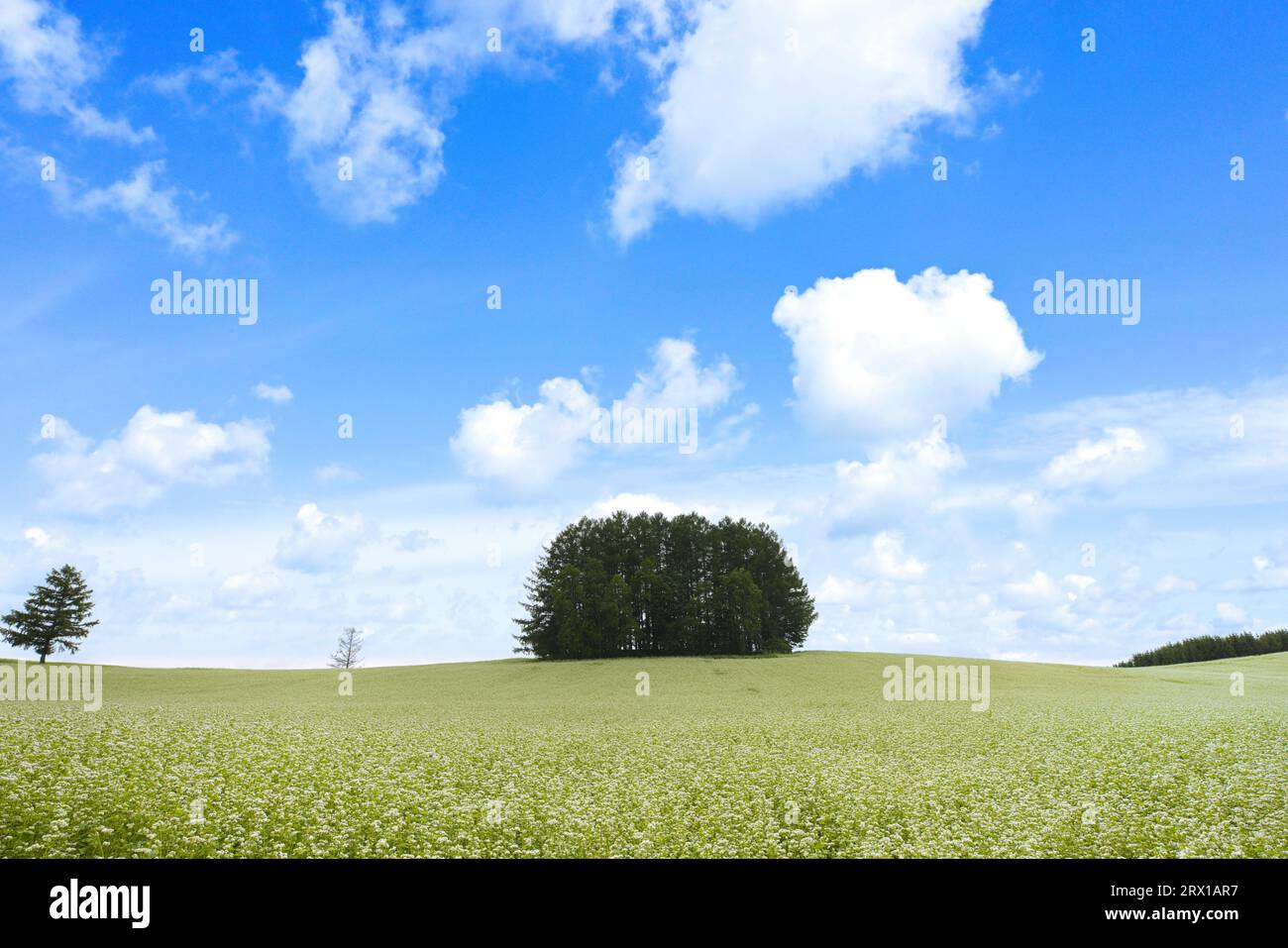 Mild seven hi-res stock photography and images - Alamy