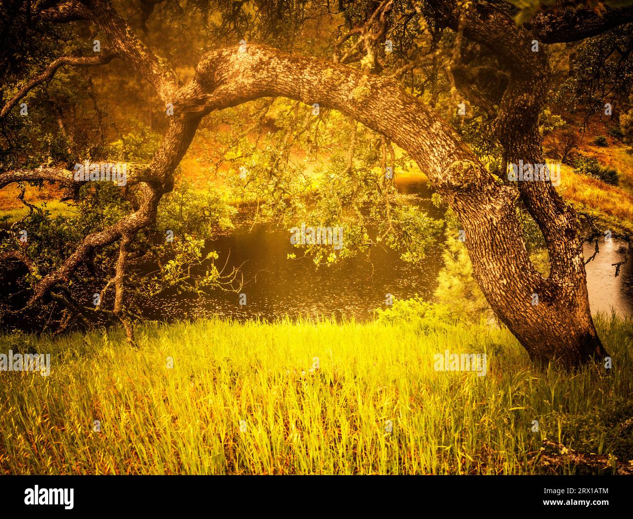 Henry coe hi-res stock photography and images - Alamy