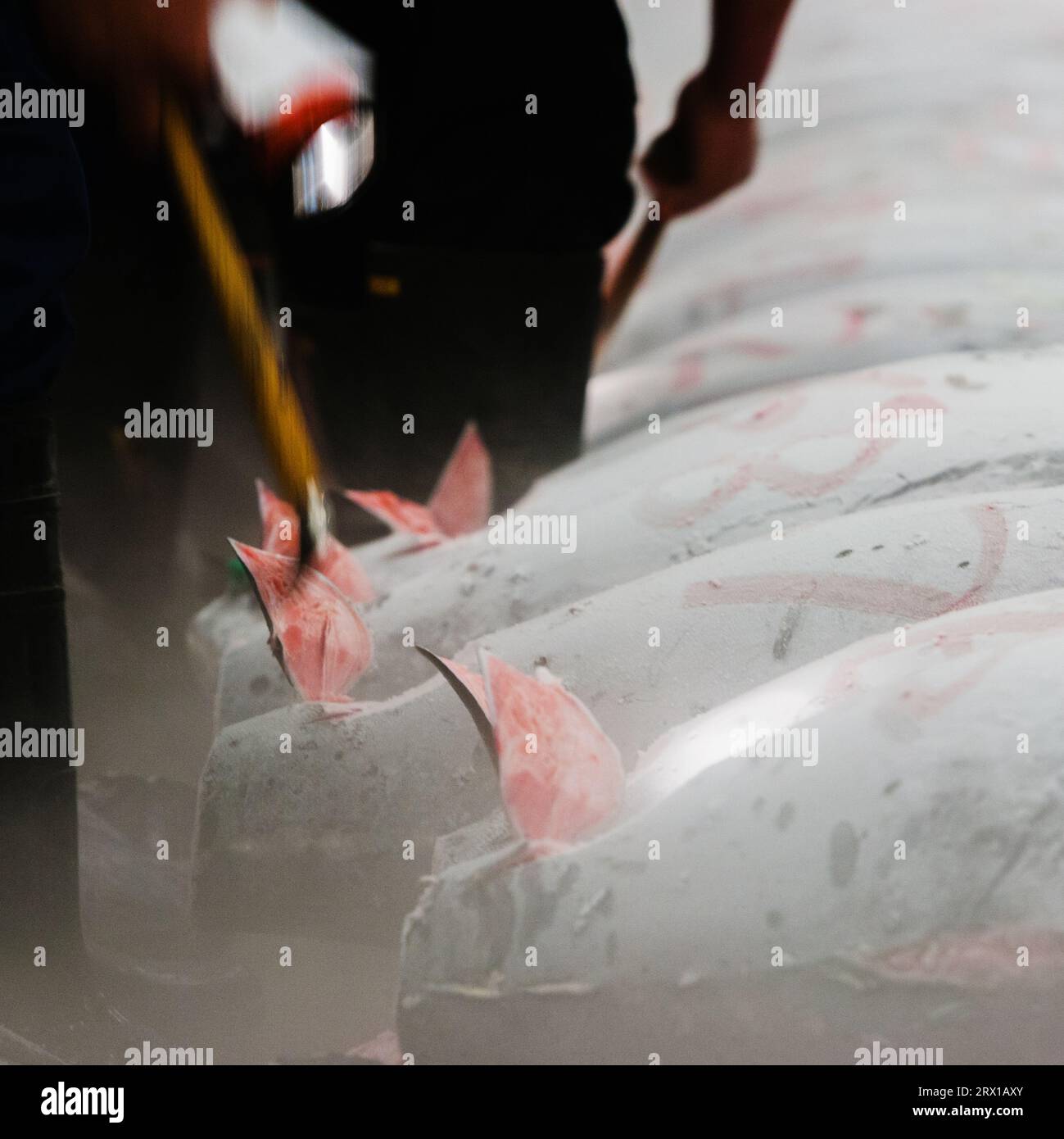 Fresh tuna at a fish market Stock Photo - Alamy