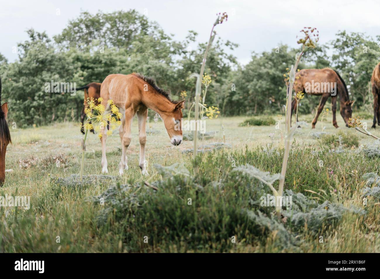Many people eating hi-res stock photography and images - Alamy