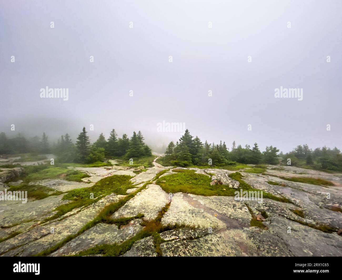 Cadillac Summit in Acadia National Park in Maine Stock Photo - Alamy