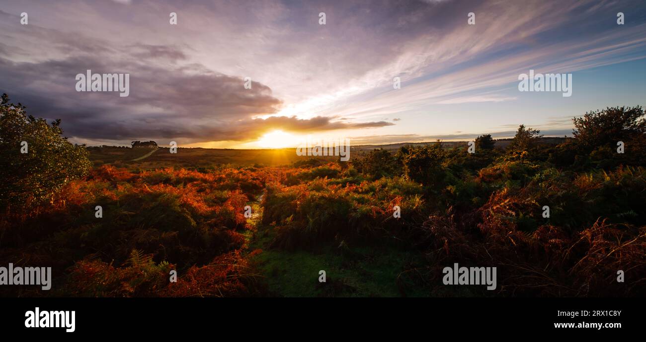 Ashdown formation hi-res stock photography and images - Alamy