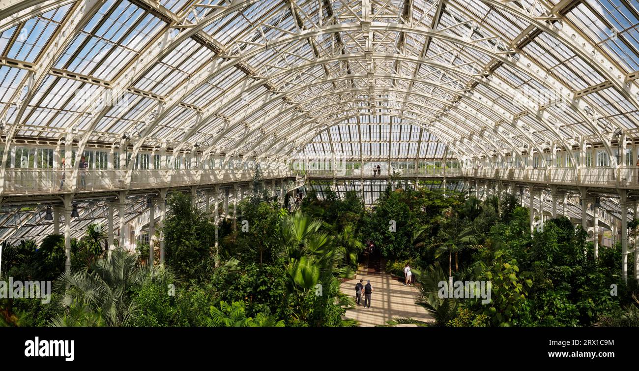 The palm house at Kew Gardens Stock Photo - Alamy