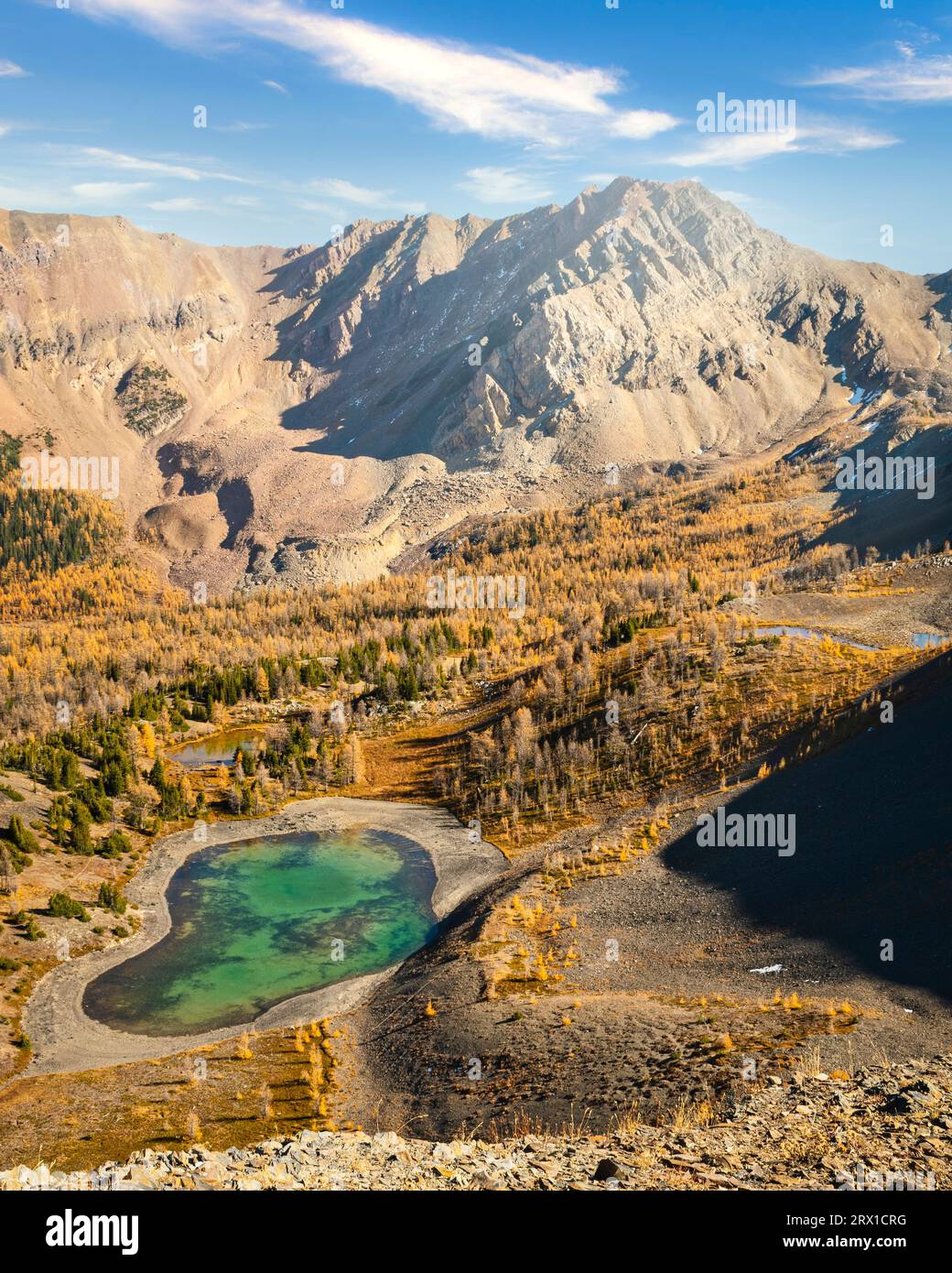 Golden Larch Mountain Portrait in the Purcell Mountains, British Stock ...