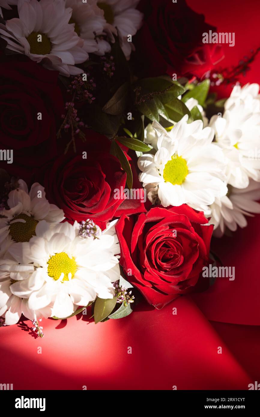 A bouquet of red roses and white daisies in a red wrapper Stock Photo ...