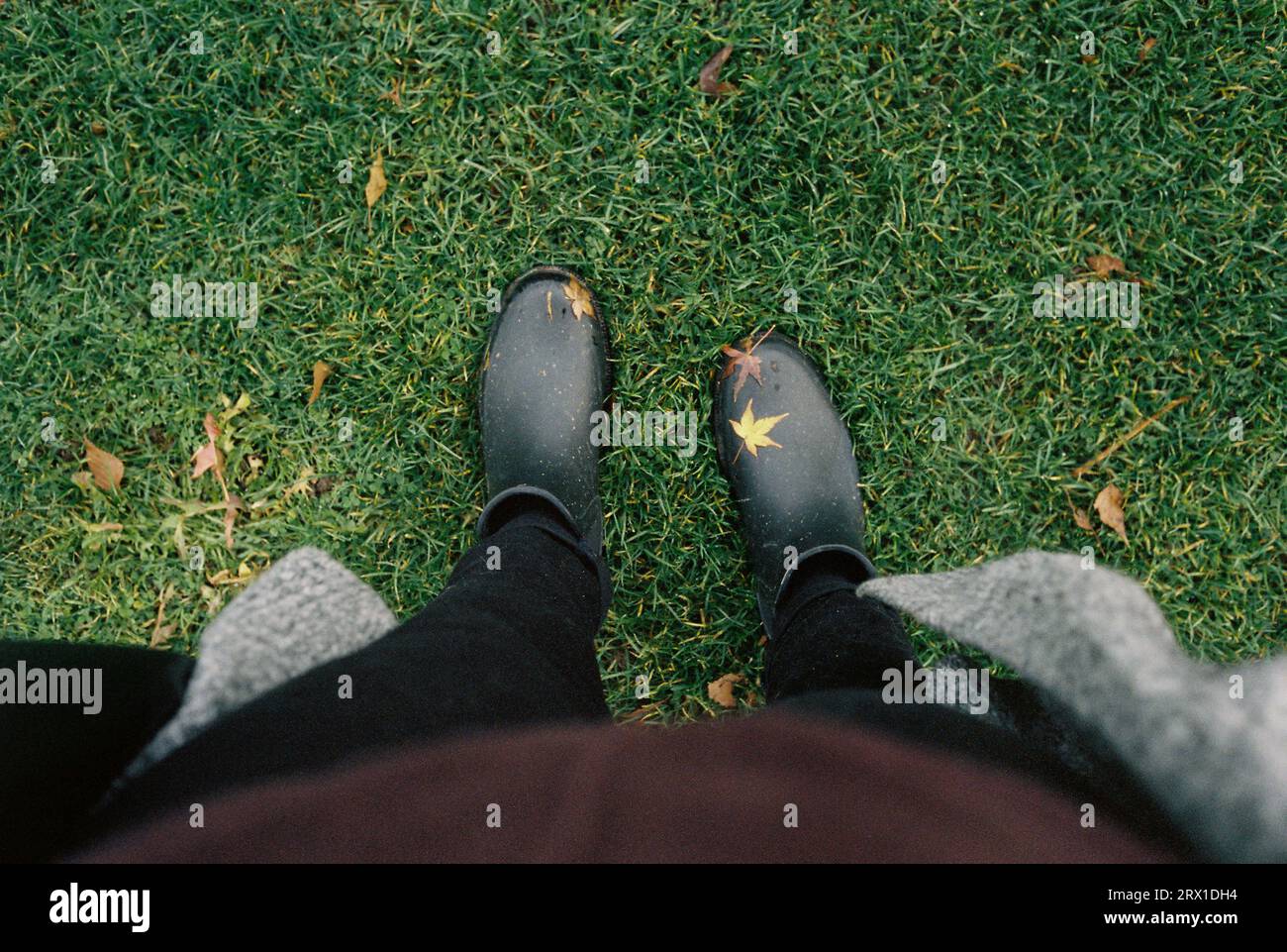 Rain boots covered in fallen leaves from above, autumn theme Stock ...