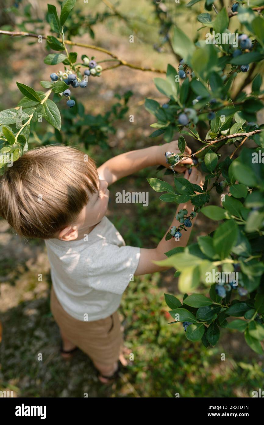 Indiana farming agriculture hi-res stock photography and images - Alamy