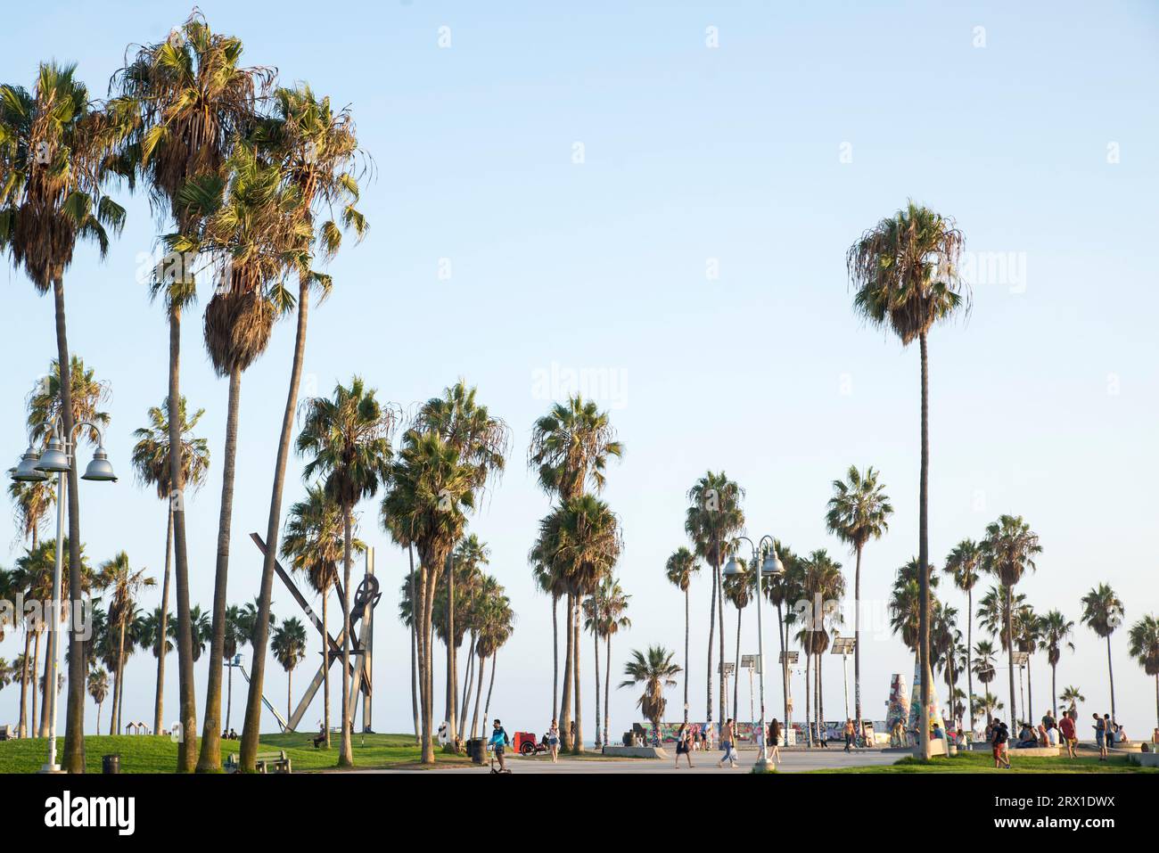 USA California Los Angeles LA Beach with lots of palm trees Stock Photo ...