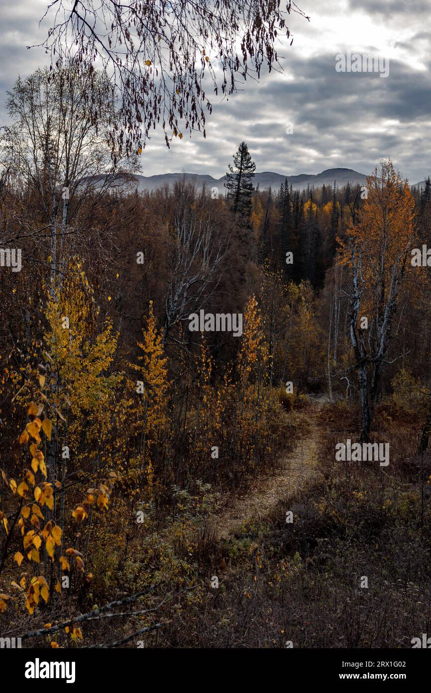 Moody autumn hi-res stock photography and images - Alamy