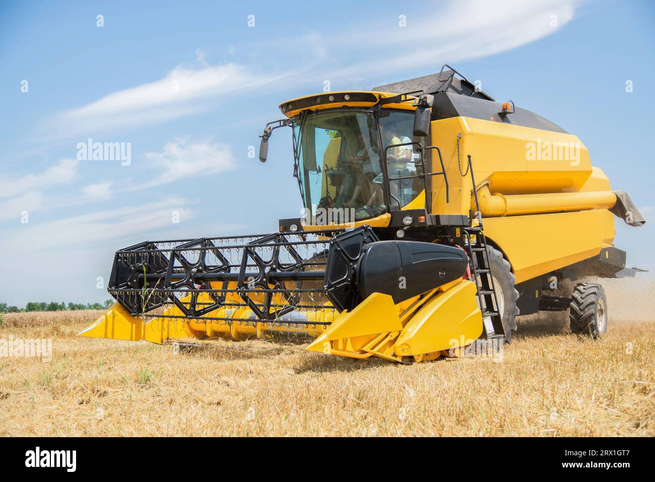 Yellow combine harvesting in the field Stock Photo - Alamy