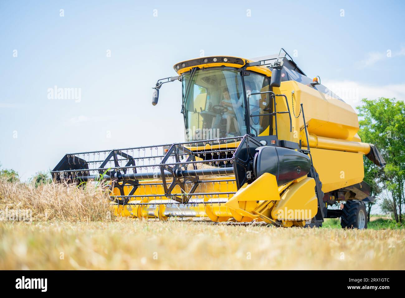 Yellow combine harvesting in the field Stock Photo - Alamy