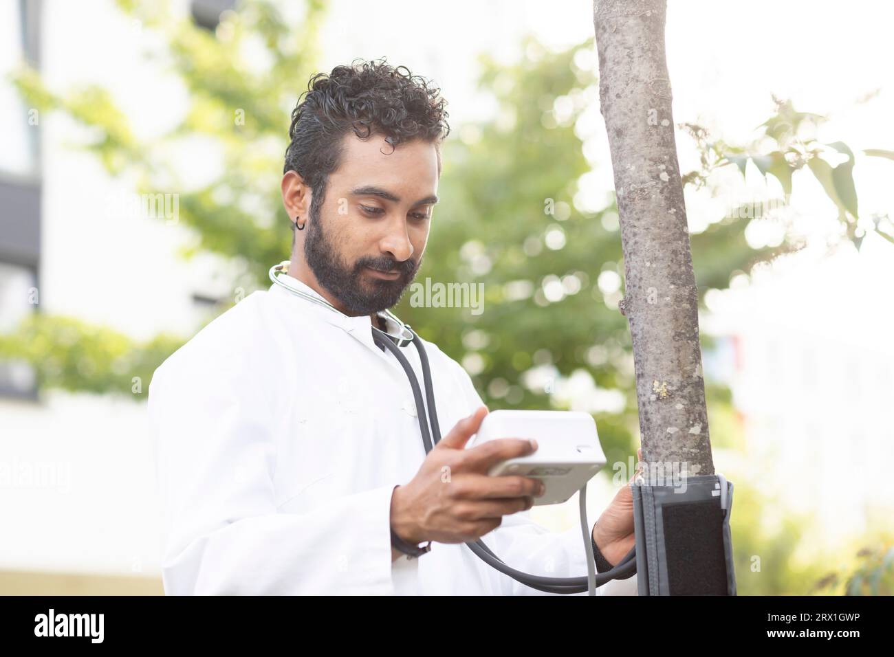 doctor male examining a tree in the garden Stock Photo - Alamy