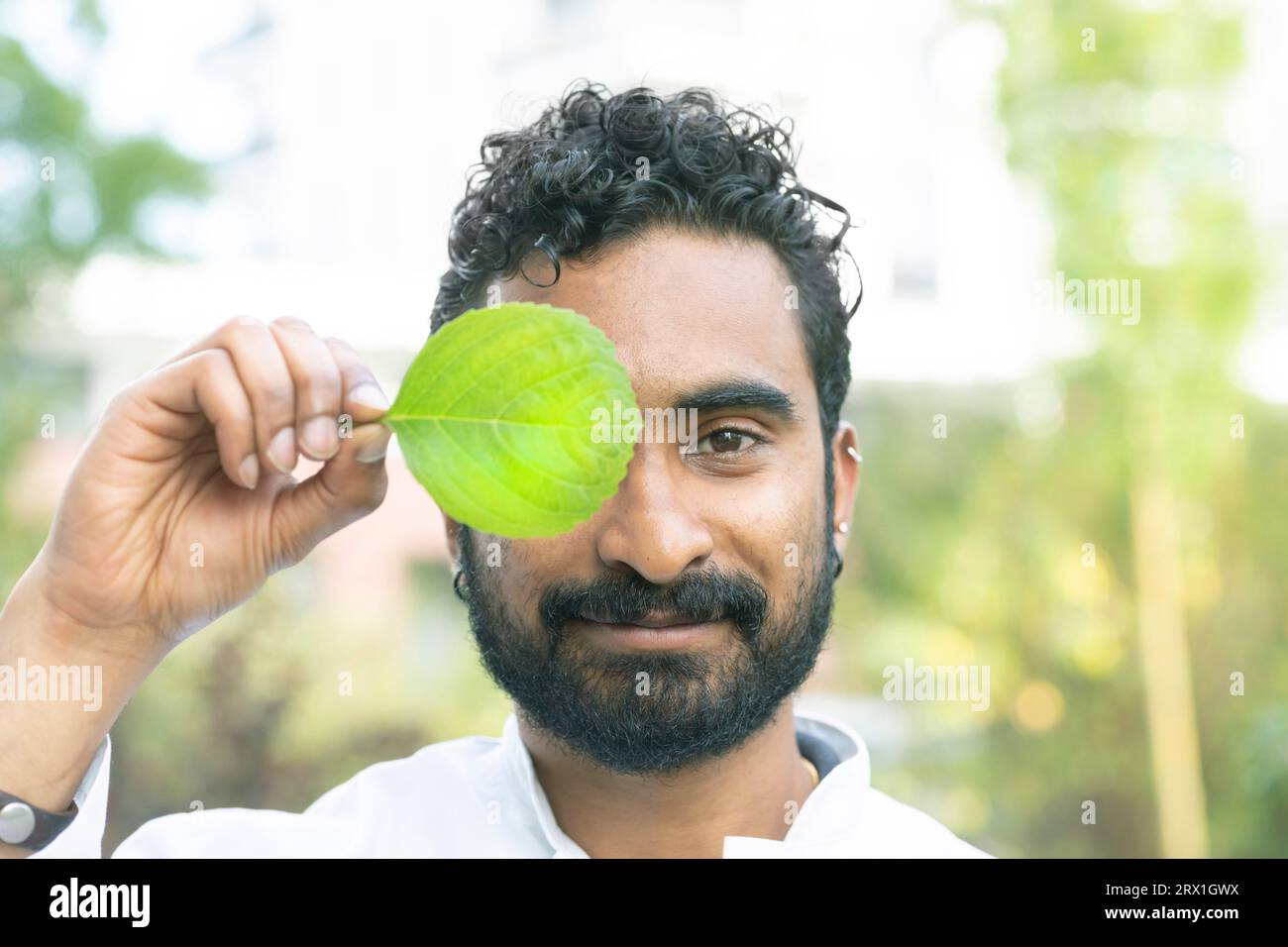doctor male examining a tree in the garden Stock Photo - Alamy