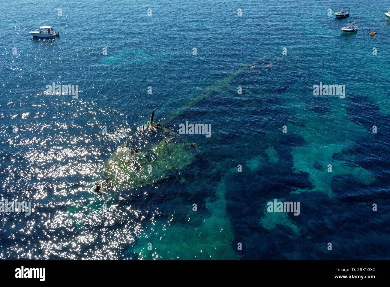 Velli rat hi-res stock photography and images - Alamy