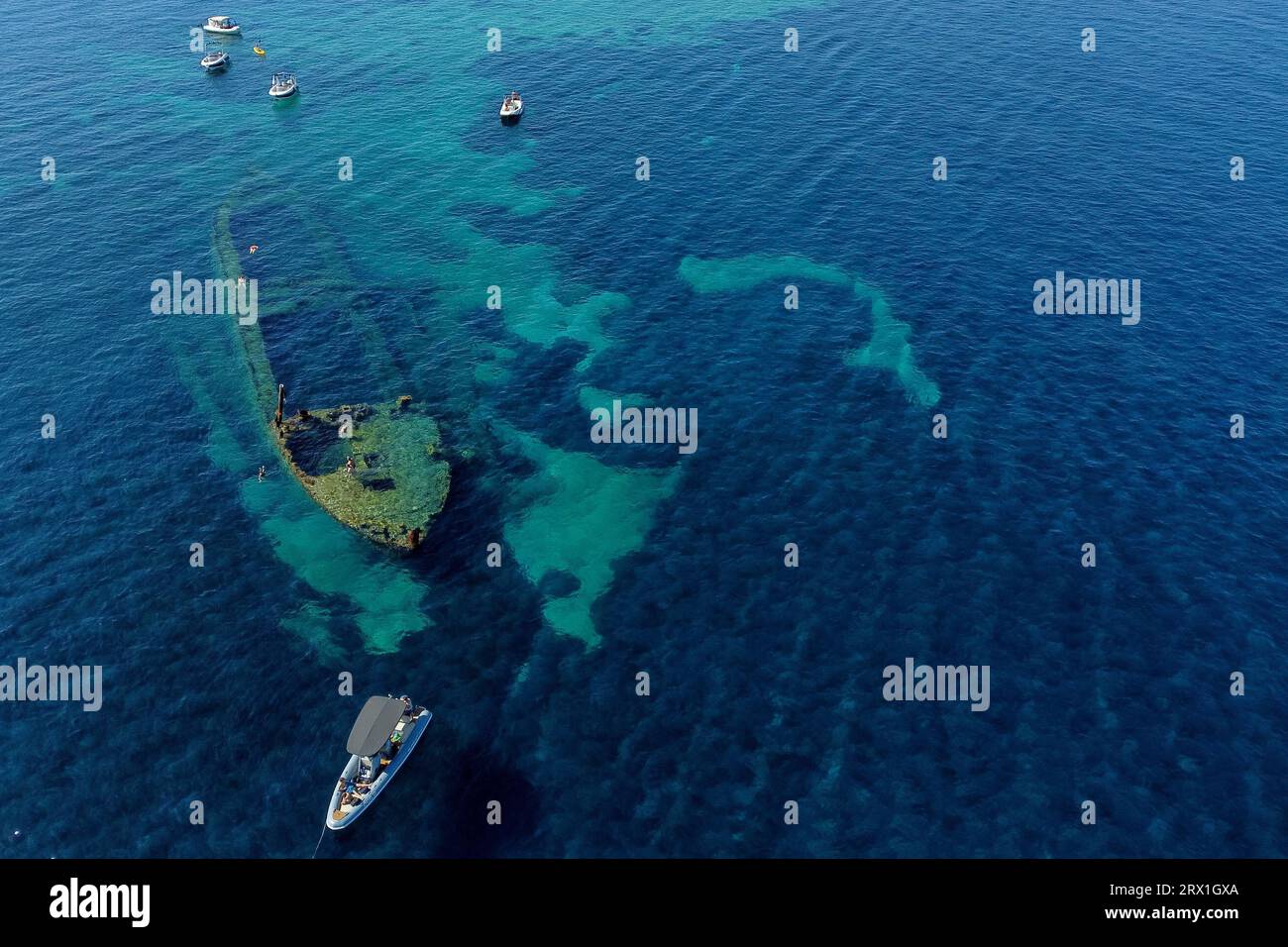 Velli rat hi-res stock photography and images - Alamy