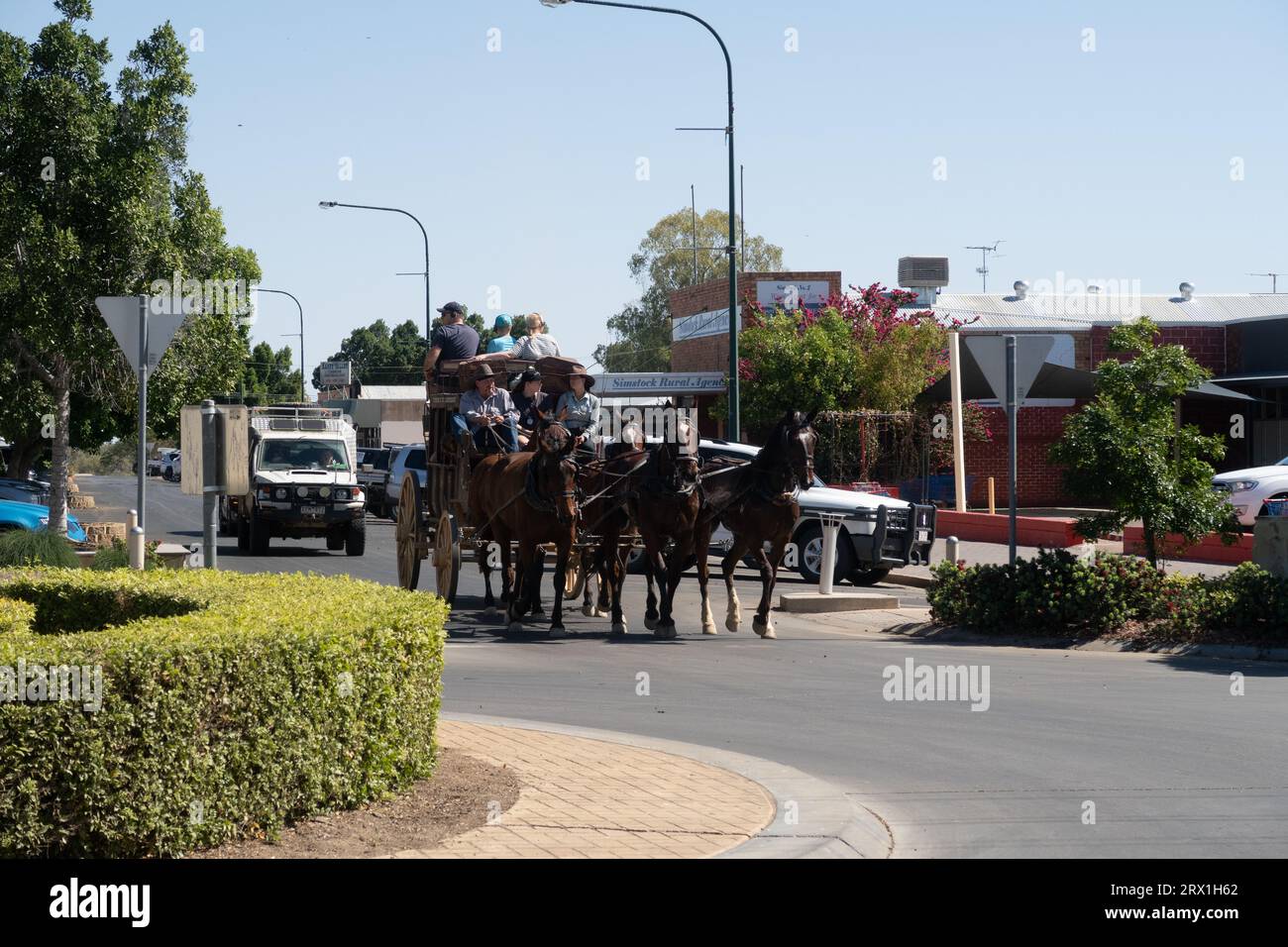 an old Cobb and Co stage coach lead by horses travel down main street ...
