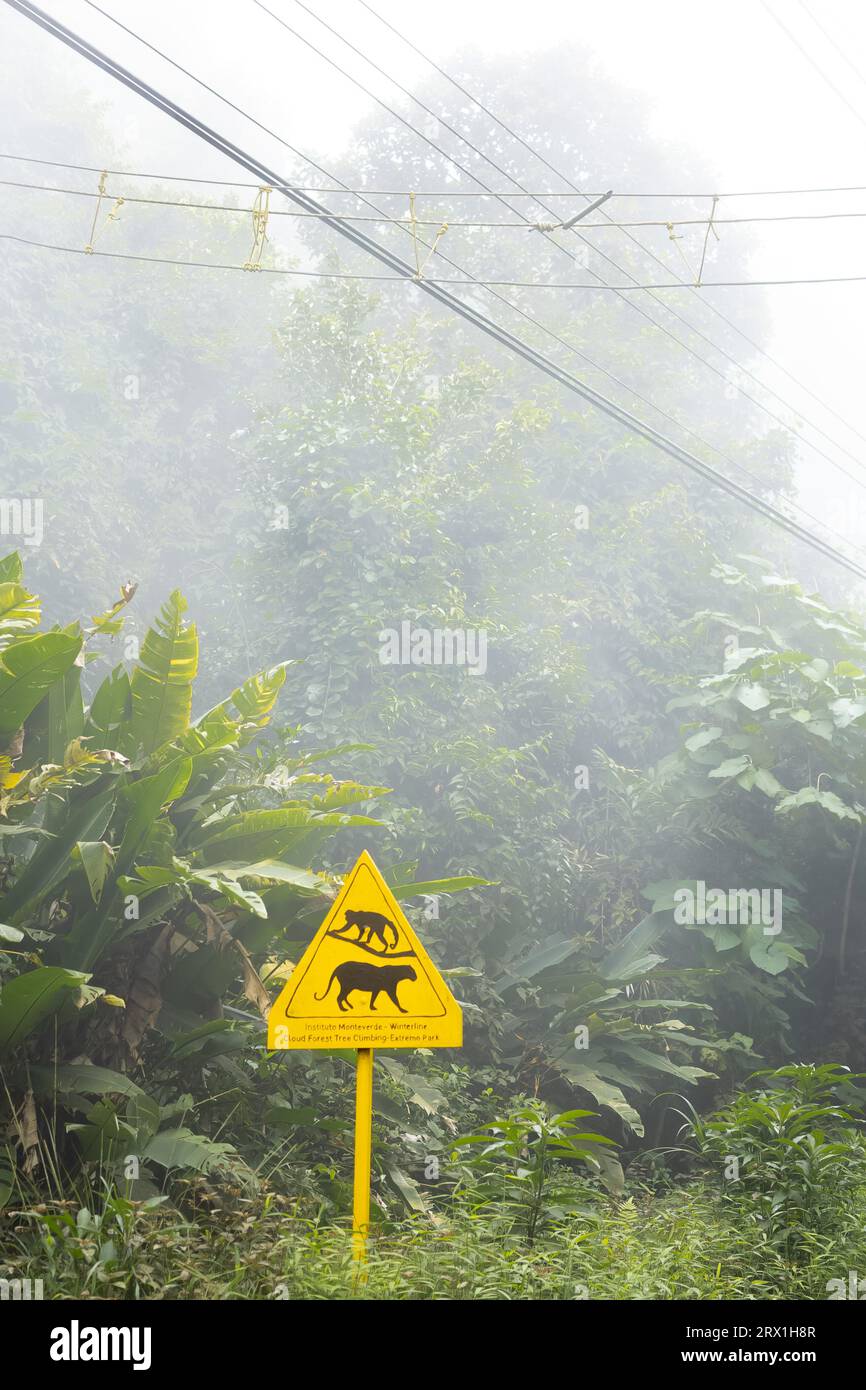 Road signs in Monte Verde National park, Costa Rica, on a very foggy ...