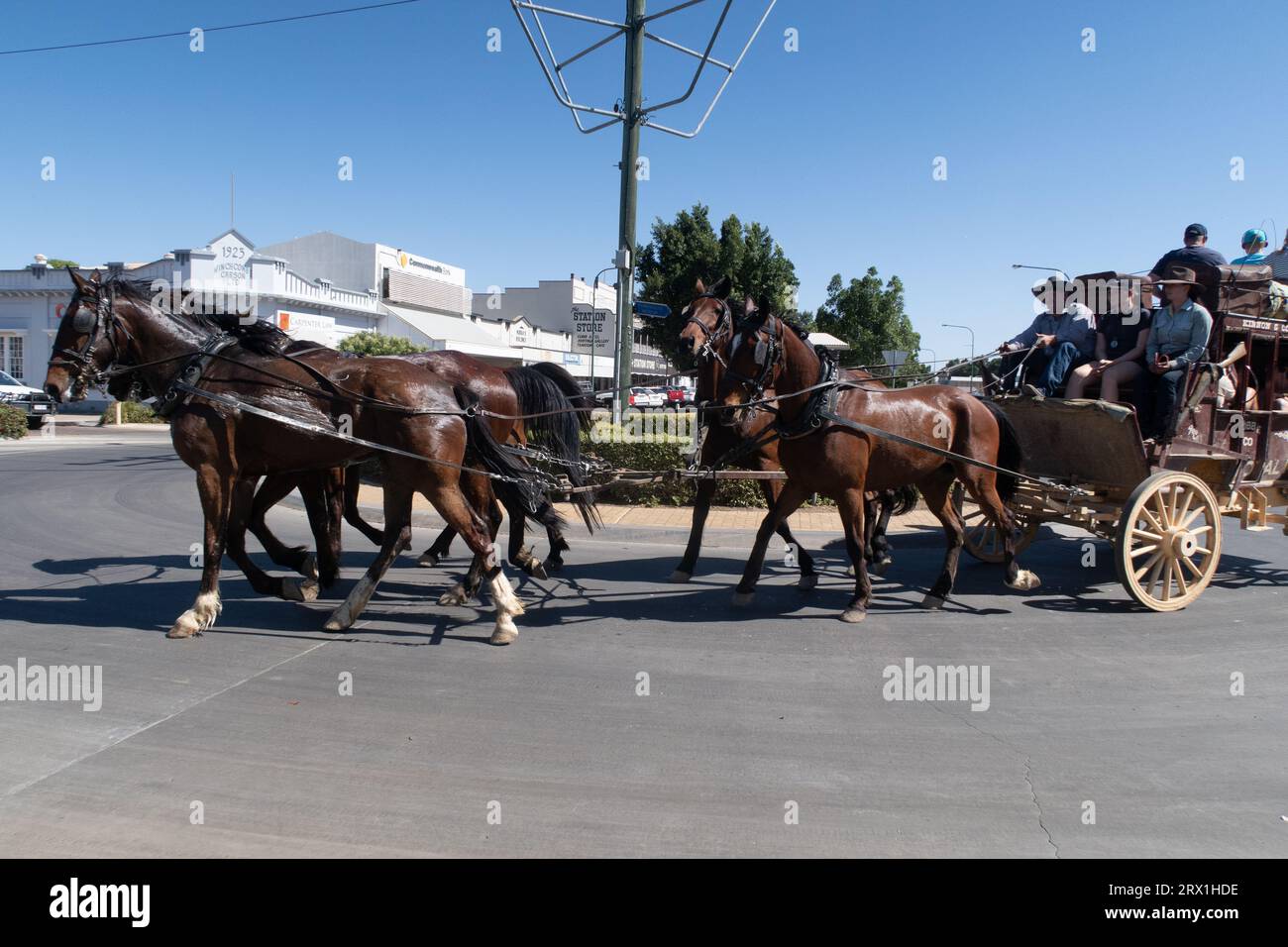 an old Cobb and Co stage coach lead by horses travel down main street ...