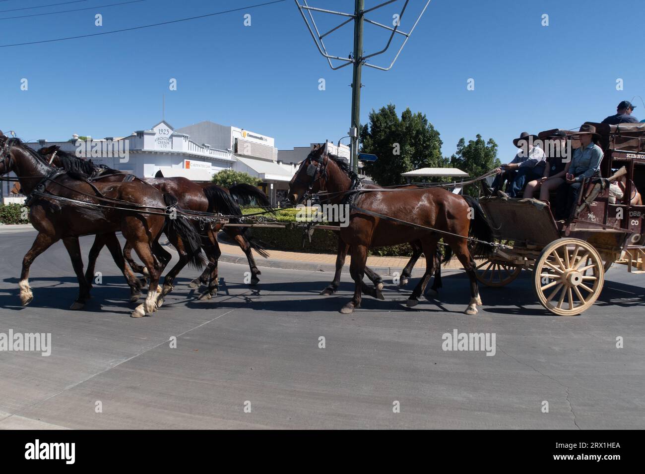 an old Cobb and Co stage coach lead by horses travel down main street ...