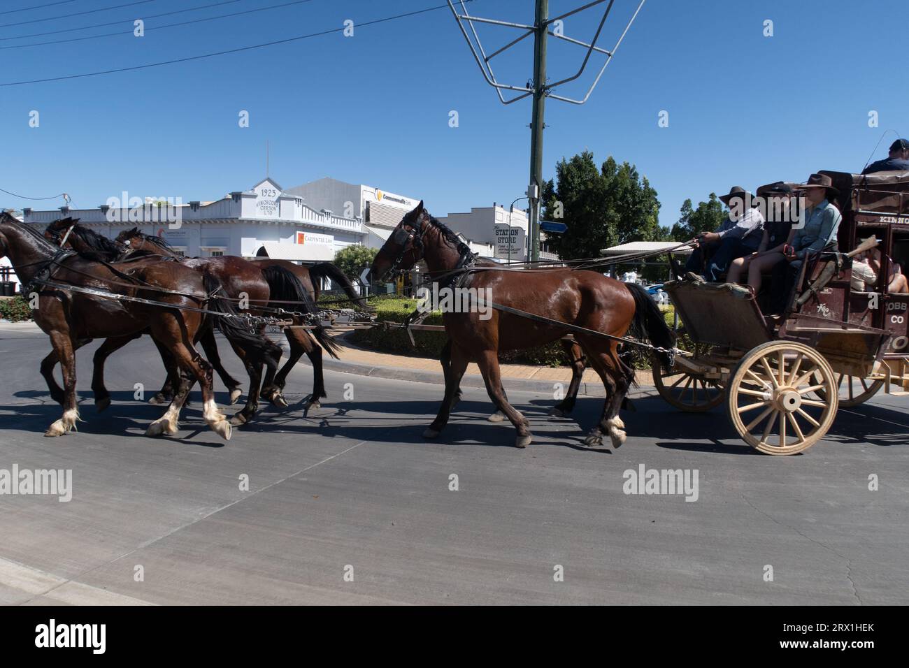 an old Cobb and Co stage coach lead by horses travel down main street ...