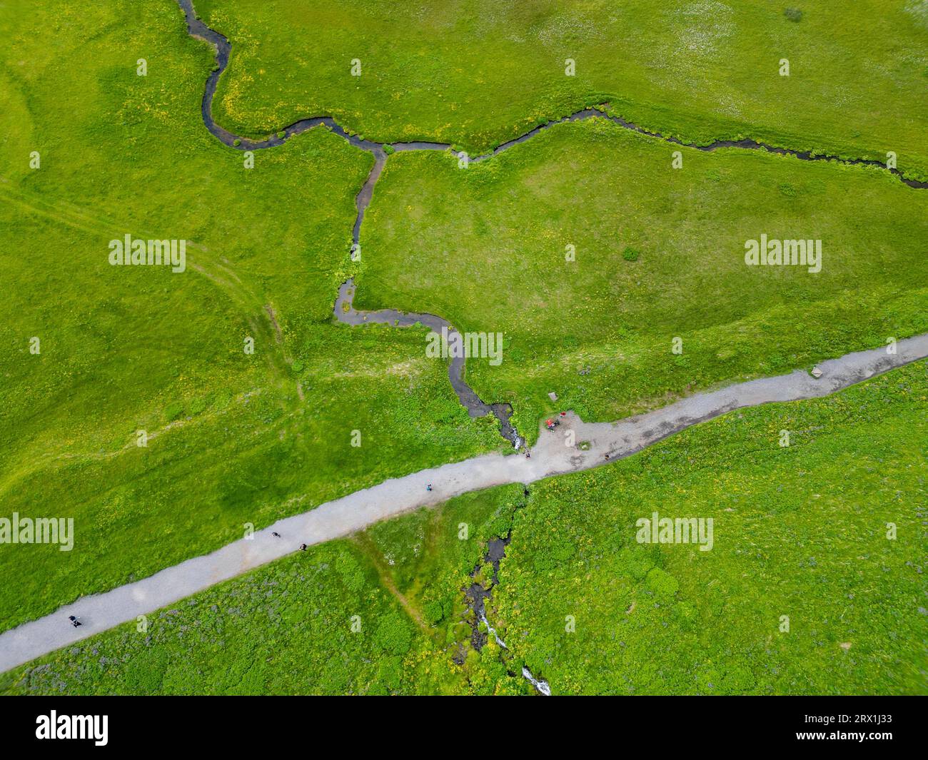 Seljalandsfoss waterfall sorrounded by green grass and moss Stock Photo ...