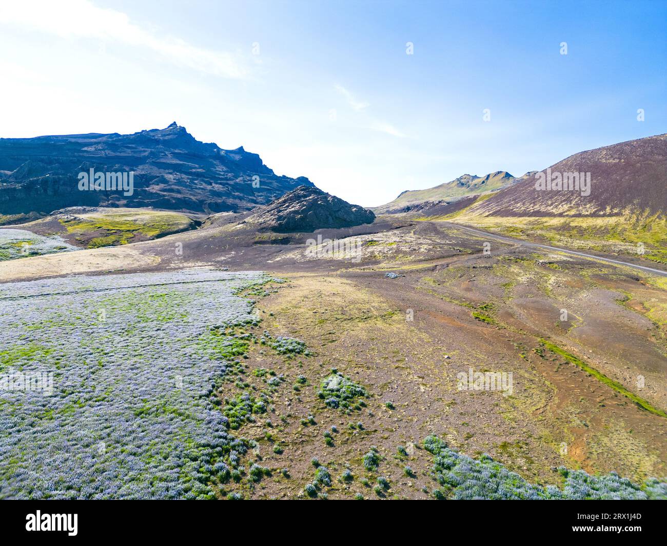 Volcanoes, flowers and rocks in a wonderful colorful composition Stock ...