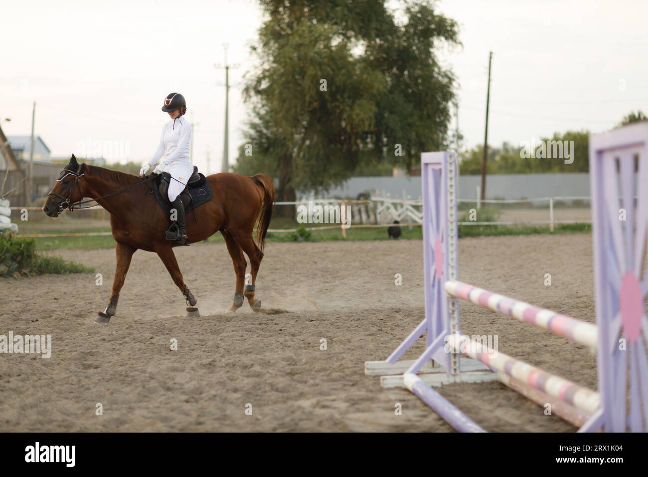 Dressage horse and rider in uniform during equestrian jumping ...
