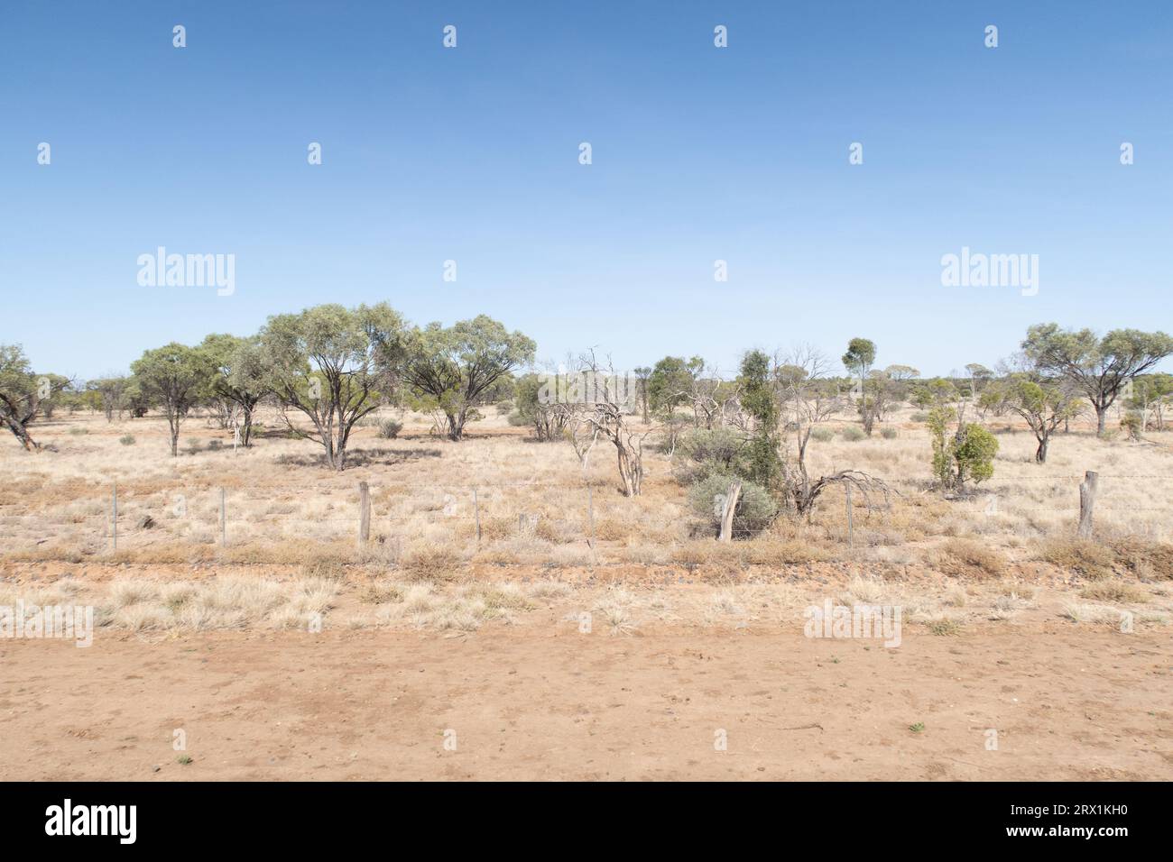 the open tundra wild plains of outback Australia in Western Queensland ...
