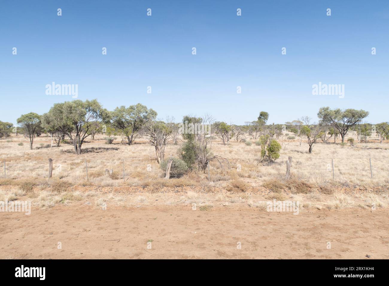 the open tundra wild plains of outback Australia in Western Queensland ...