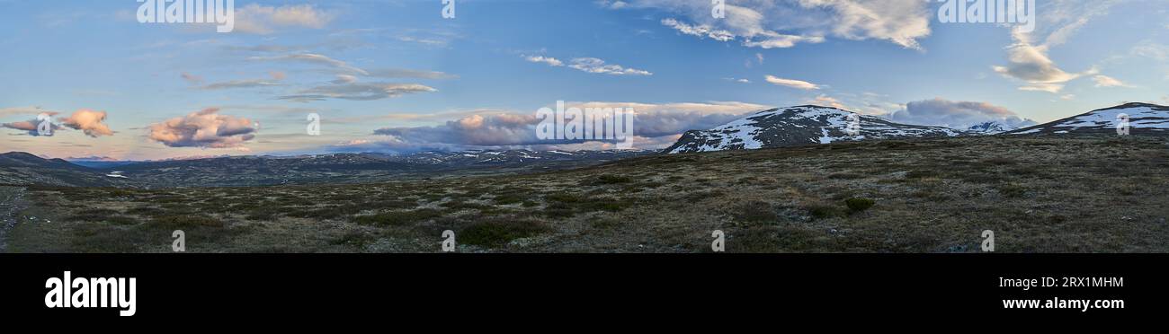 Panorama of the landscape of the cold harsh tundra in Dovrefjell ...