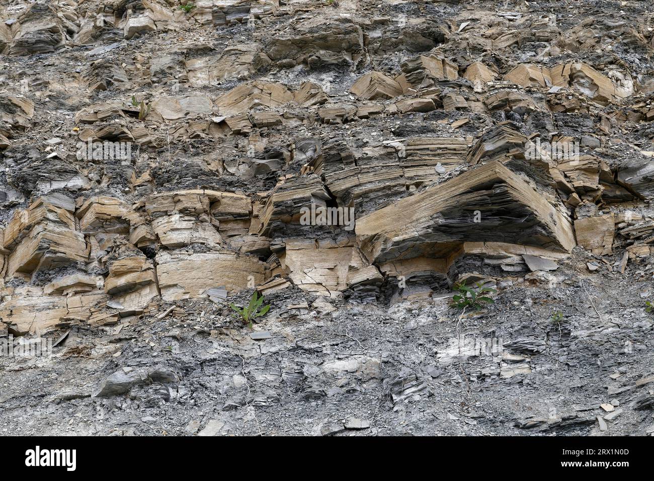 Fossil rock formation, Miguasha National Park, Gaspesie, Province of ...