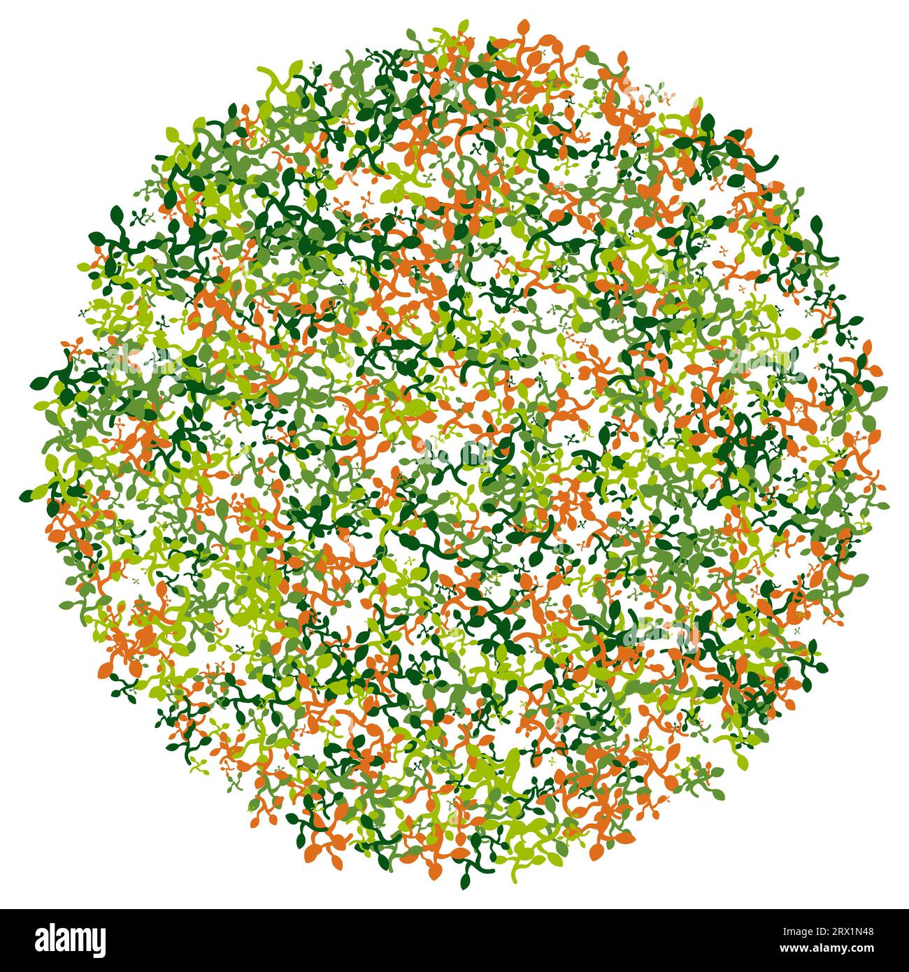 Geometric circular pattern hi-res stock photography and images - Alamy