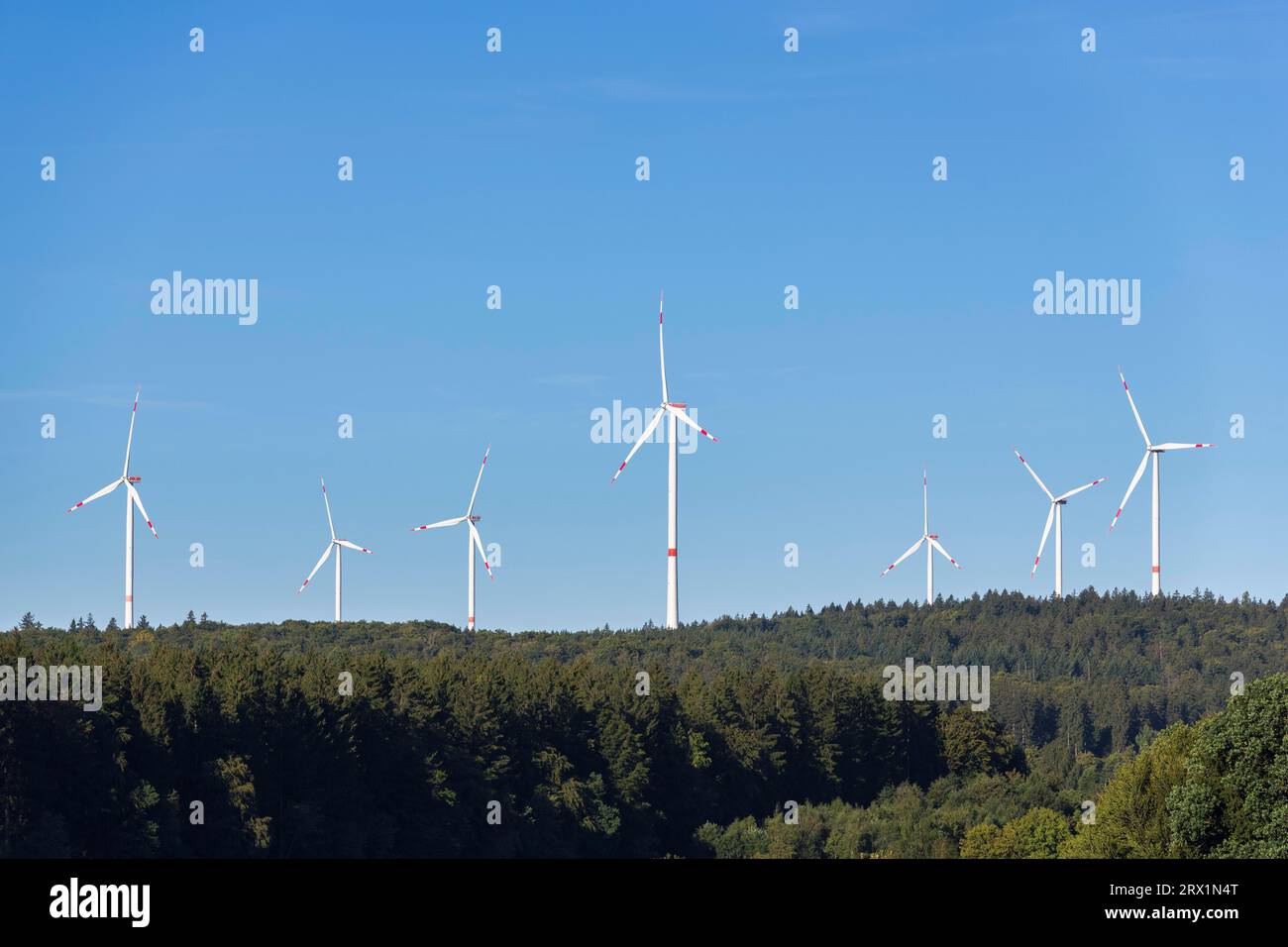 Renewable energies, wind turbine, wind turbines standing in a forest ...