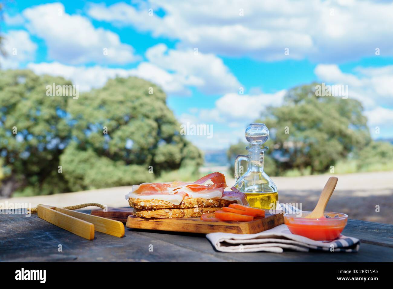 Toast of serrano ham with tomato and virgin olive oil typical spanish ...