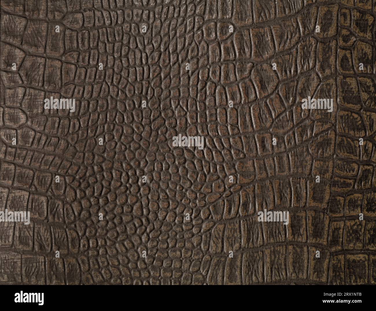 Synthetic faux alligator skin from a cover of an old photo album Stock ...