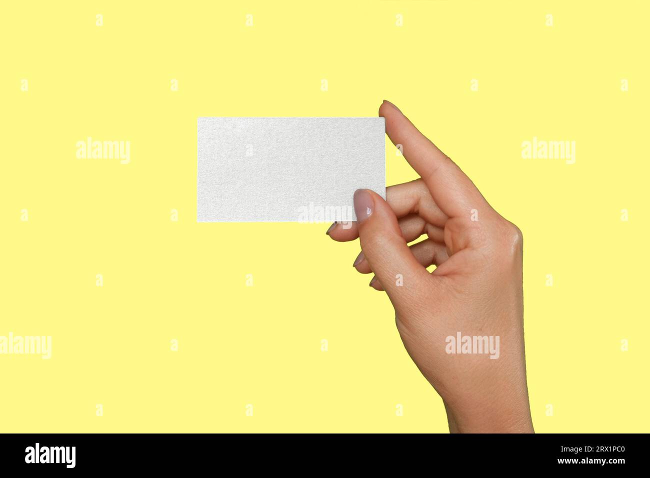Female Hand Holding White Business Card Isolated On Yellow Studio ...