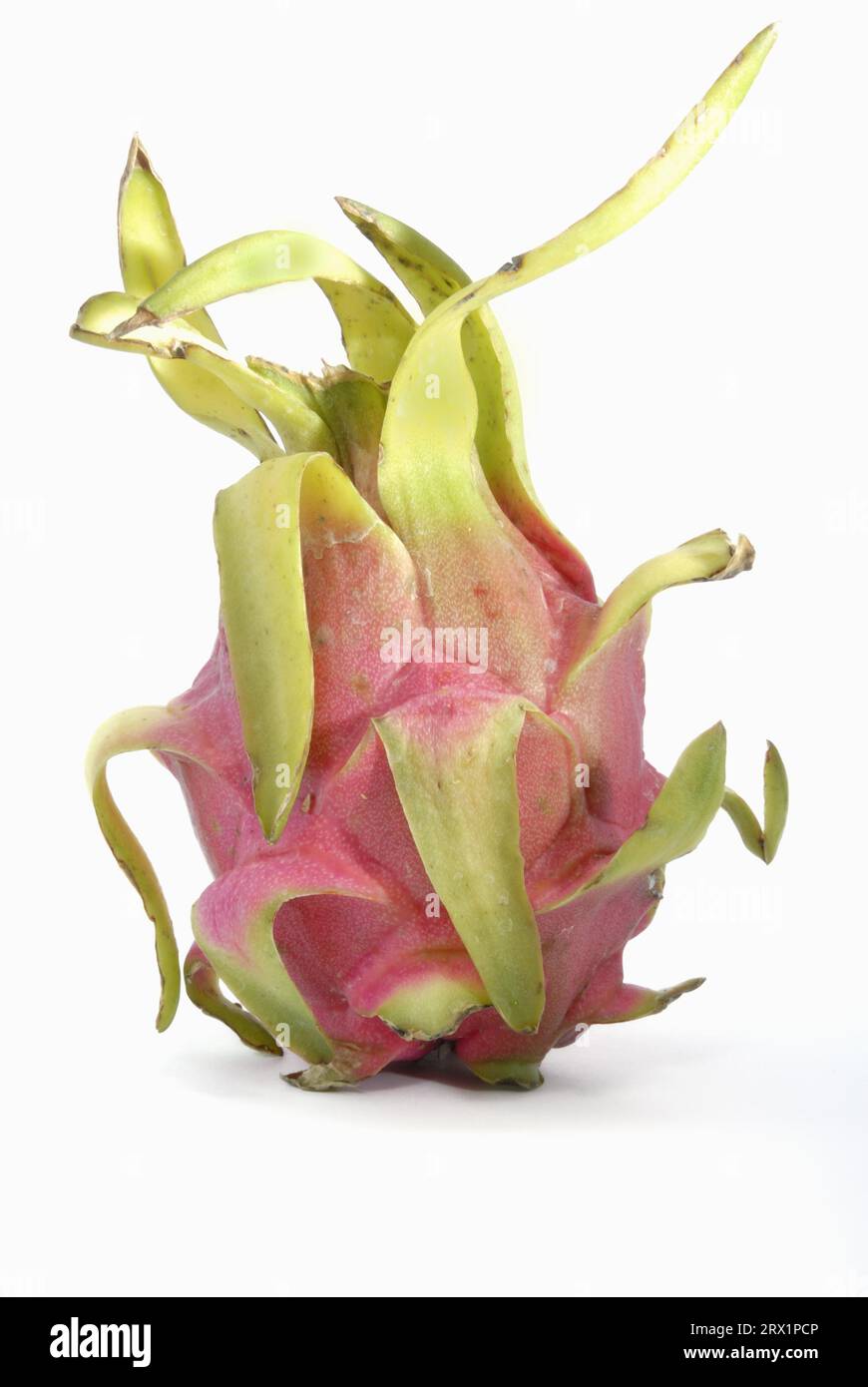 Pitahaya hi-res stock photography and images - Alamy