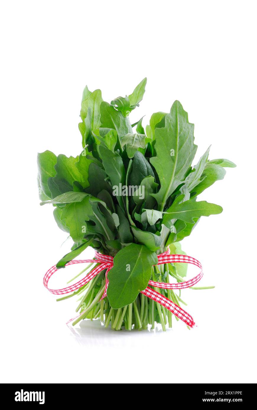 Ruccola dish hi-res stock photography and images - Alamy