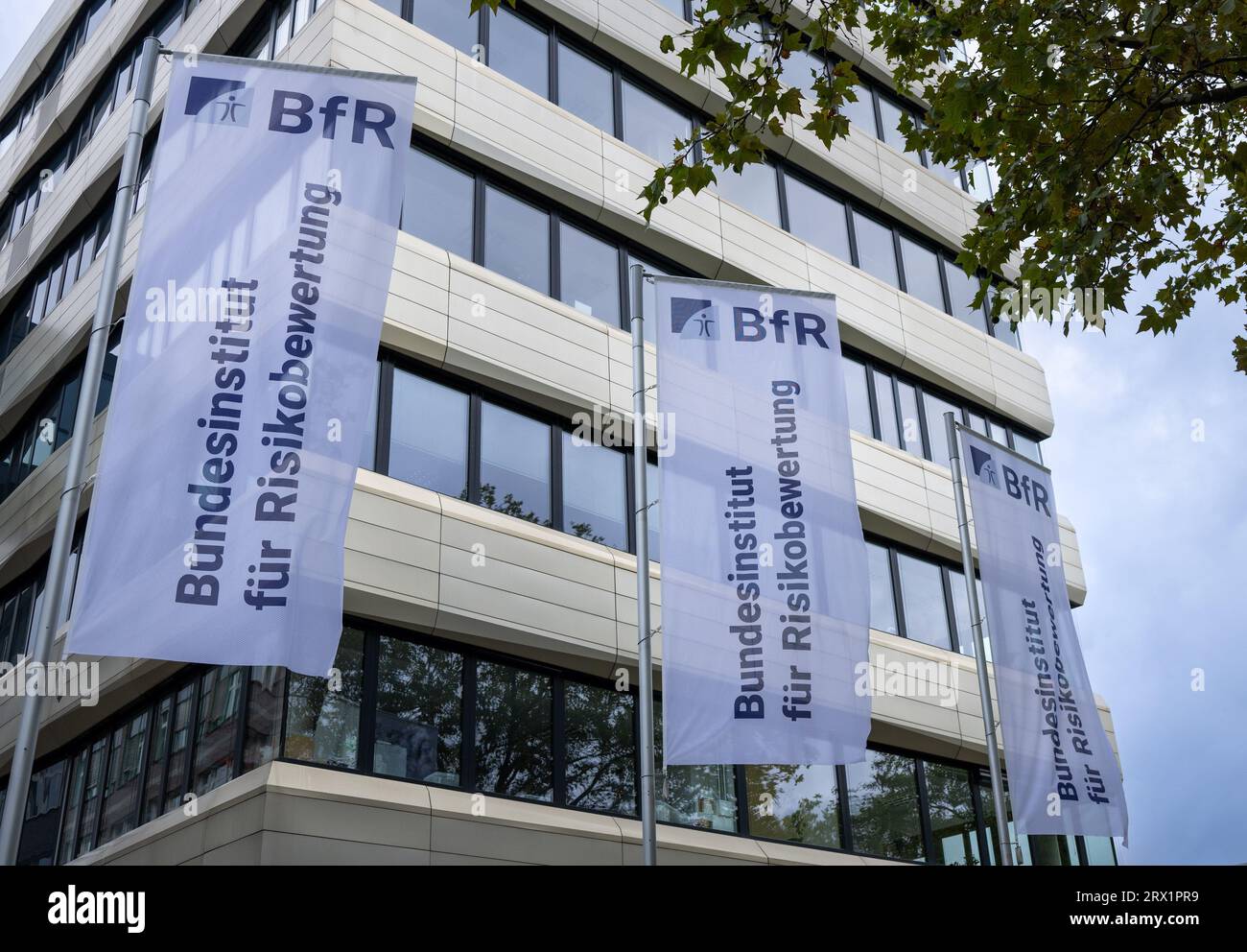 Berlin, Germany. 22nd Sep, 2023. Flags with the logo of the Federal ...