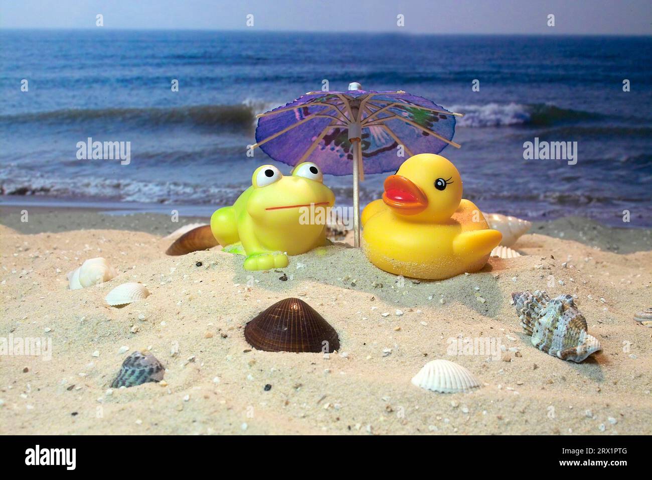 Squeaking duck and frog on holiday by the sea. Photomontage with self ...